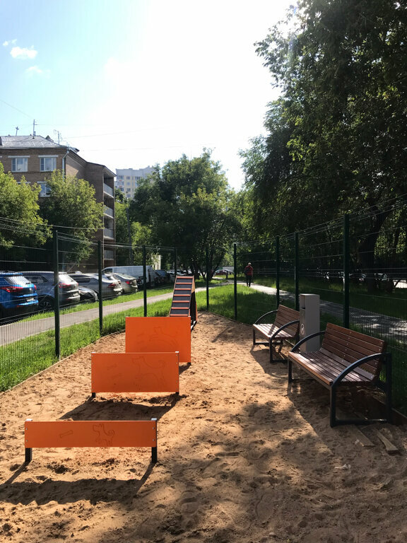 Köpek gezdirme alanları Dog park, Moskova, foto