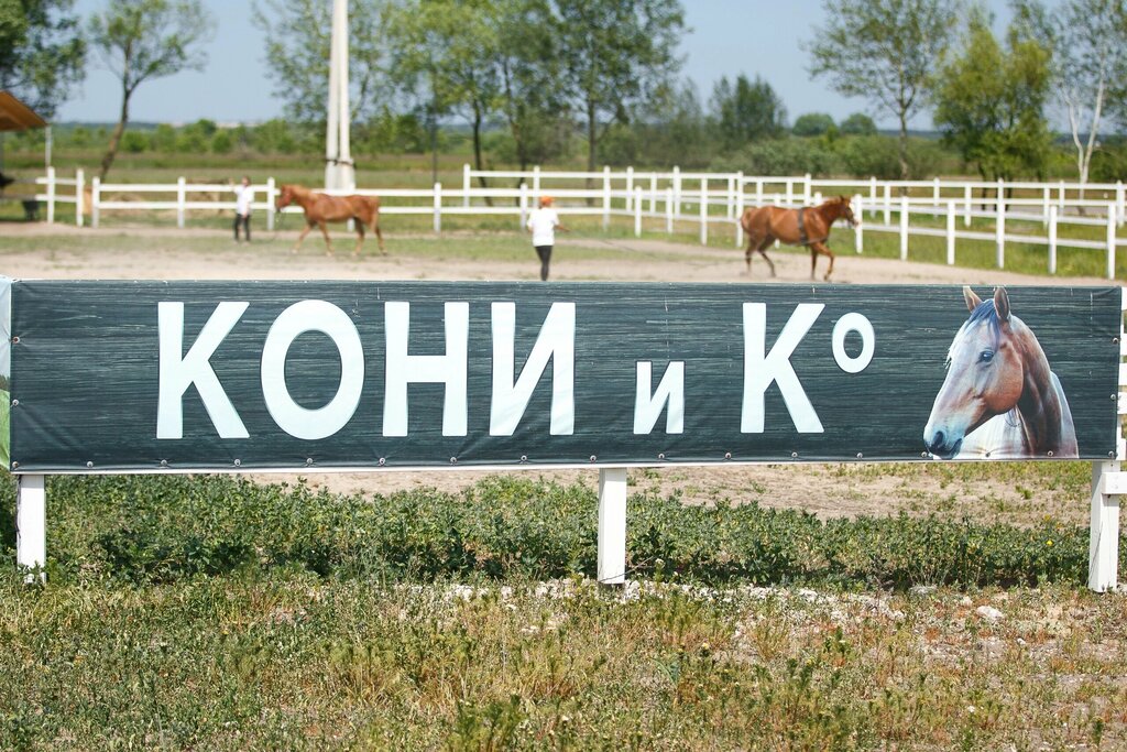 At ve binicilik kulüpleri Экоферма Кони и Ко, Riazanskaya oblastı, foto