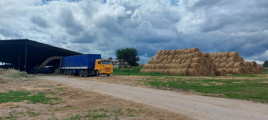 Yönetim ofisi Spk Novoselki, Riazanskaya oblastı, foto