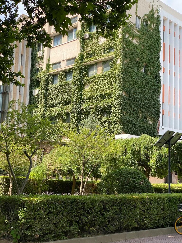 Üniversiteler University of International Business and Economic, Beijing, foto