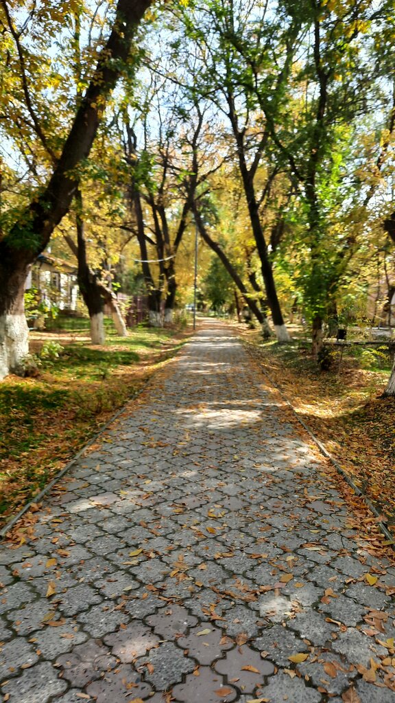 Kültür ve eğlence parkları парк имени Капельгородского, Dağıstan, foto