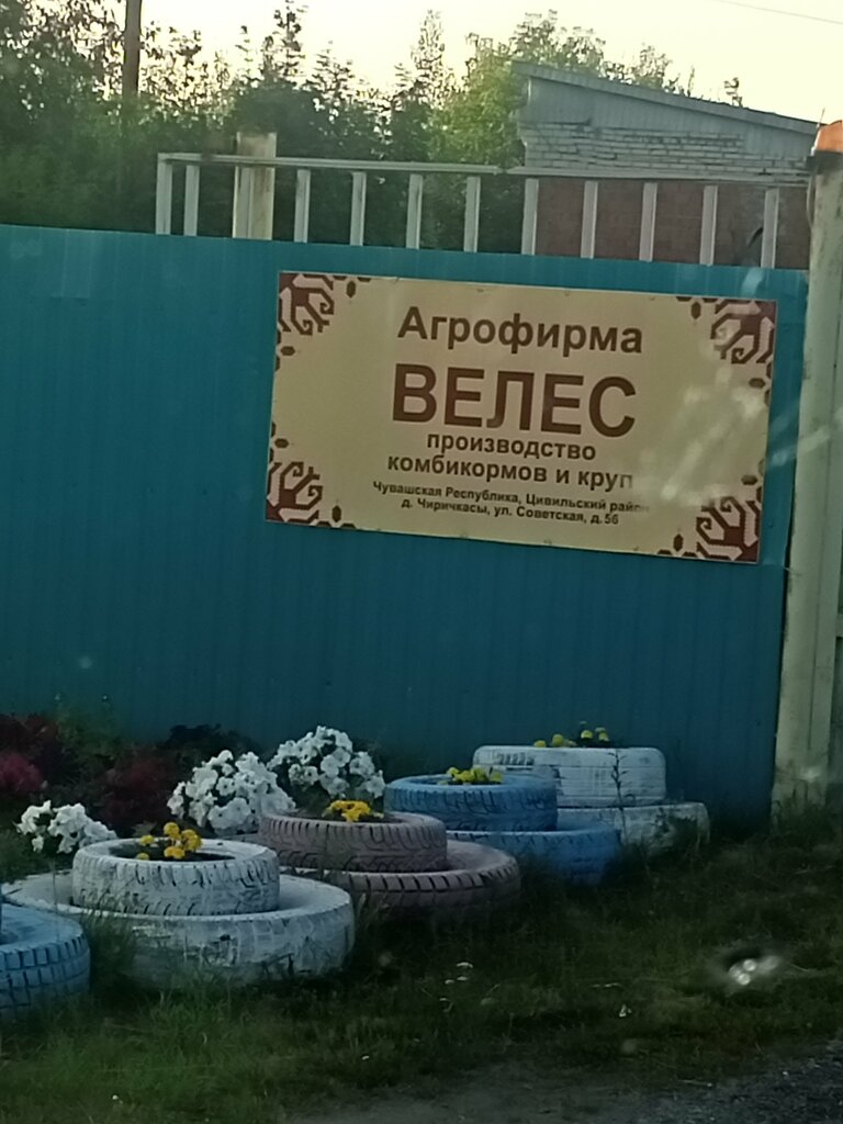 Tarım firmaları Agrofirma Veles, Çuvaşya, foto