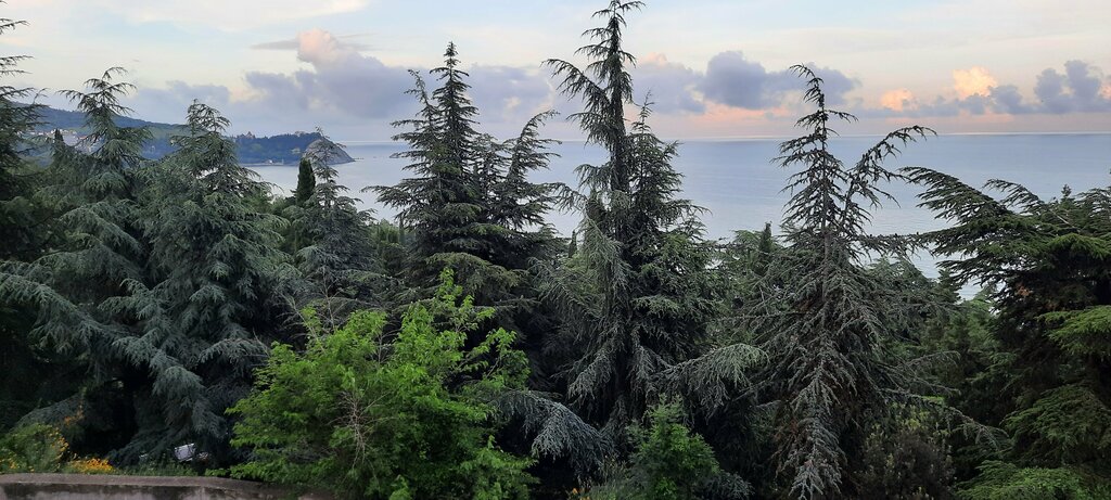 Seyir terası Площадка Раевского в парке Айвазовское, Kırım Cumhuriyeti, foto
