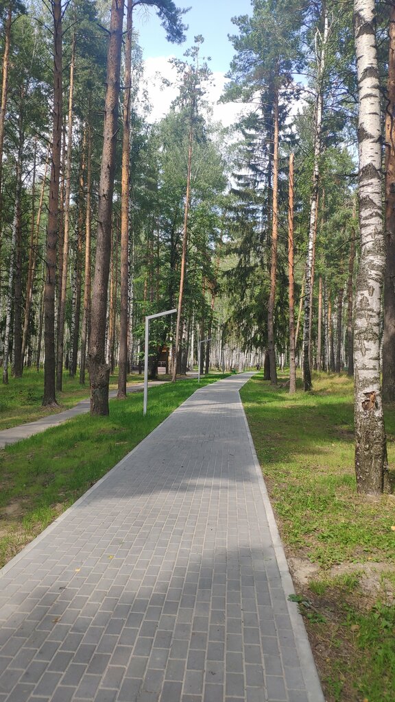 Kültür ve eğlence parkları Центральный парк п. Ибреси, Çuvaşya, foto