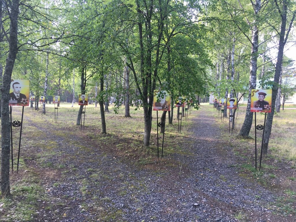 Kültür ve eğlence parkları парк Победы, Pskovskaya oblastı, foto