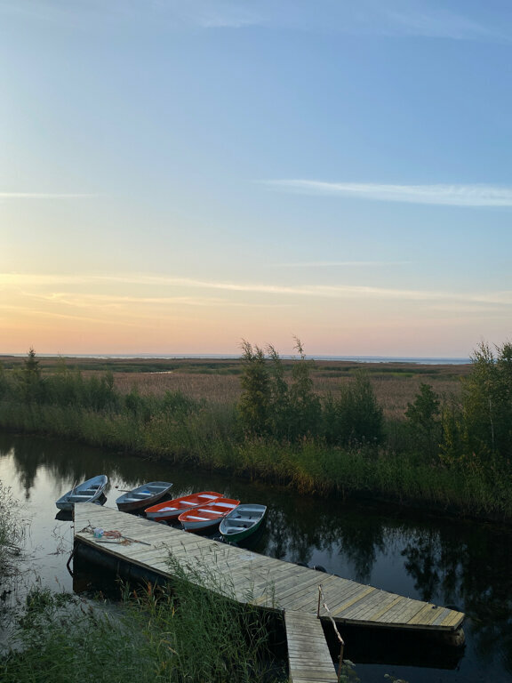 i̇skele Jetty , Saint‑Petersburg ve Leningradskaya oblastı, foto