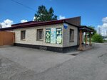 Mechta (Aleksandr Ostrovskïy street No:112), market  Petropavl'dan (Petropavlovsk'tan)