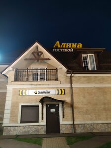 Alina (Sovetskaya ulitsa No:102В, posyolok gorodskogo tipa Yantarny), otel  Kaliningradskaya oblastından
