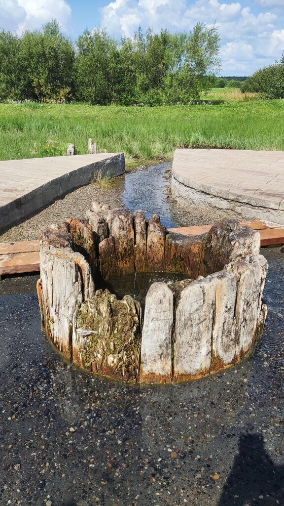 Pınar, çay Spring, stream, Solikamsk, foto