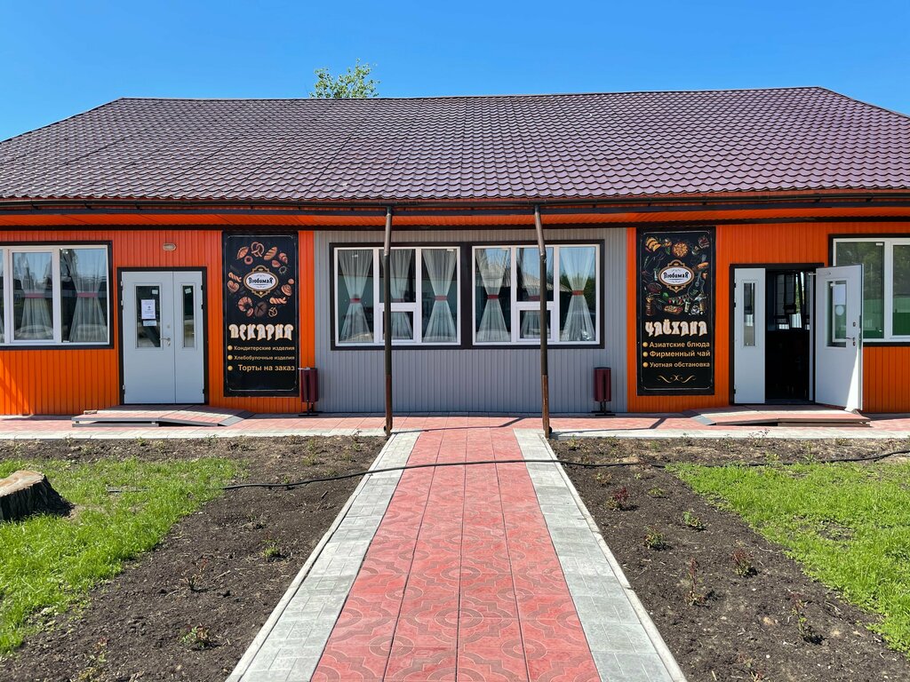 Kafe Чайхана, Novosibirskaya oblastı, foto