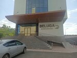 Beluga (Baqtykereı Qulmanov kóshesi No:111Б), bar  Atırav'dan
