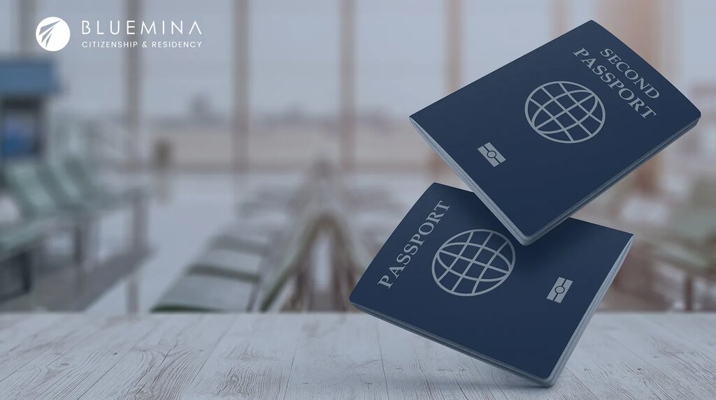 Göçmen büroları Bluemina Citizenship & Residency, company, Dubai, foto