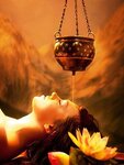 Ayurcure Ayurvedic Medical Center (124, Khalid Bin Al Waleed Street, Bur Dubai, Dubai), alternatif tıp merkezleri  Dubai'den