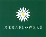 MegaFlowers (9th Parkovaya Street No:вл15/68), çiçekçiler  Moskova'dan