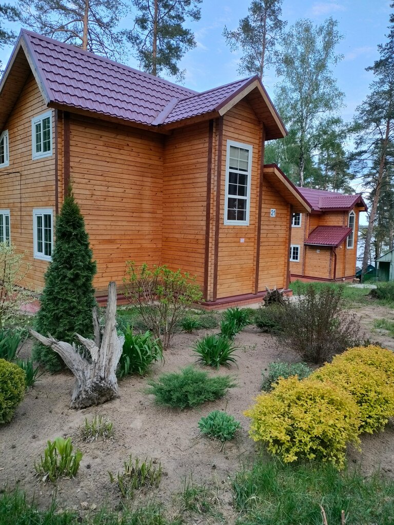 Tatil köyleri Турбаза Дельфин, Ulyanovskaya oblastı, foto