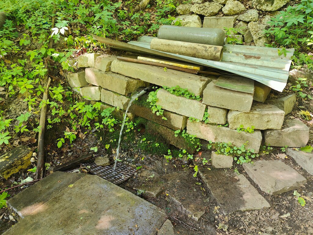 Pınar, çay Spring, stream, Moskova ve Moskovskaya oblastı, foto
