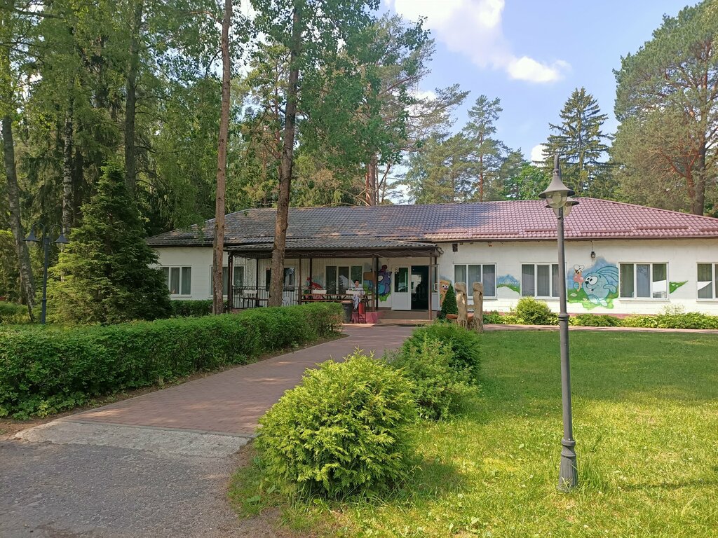 Yaz kampı Oblastnoy tsentr detskogo i molodezhnogo otdykha Zhemchuzhina, Kaliningradskaya oblastı, foto