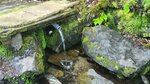 Spring, stream (Murmansk Region, gorodskoye poseleniye Kandalaksha), pınar, çay  Murmanskaya oblastından
