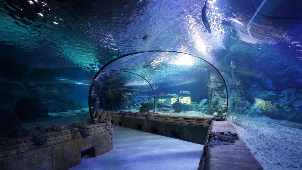 Akvaryumlar Oceanarium № 1, Moskova, foto