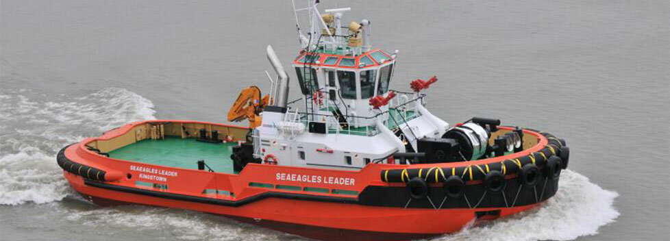 Kargo firmaları Sea Eagles Shipping L. L. C, Dubai, foto
