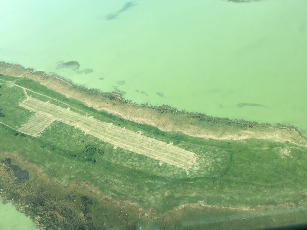 Hava meydanı Aerodrome, Novosibirskaya oblastı, foto
