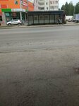 Мичуринские сады (Perm, Tsimlyanskaya Street), toplu taşıma durağı  Perm'den