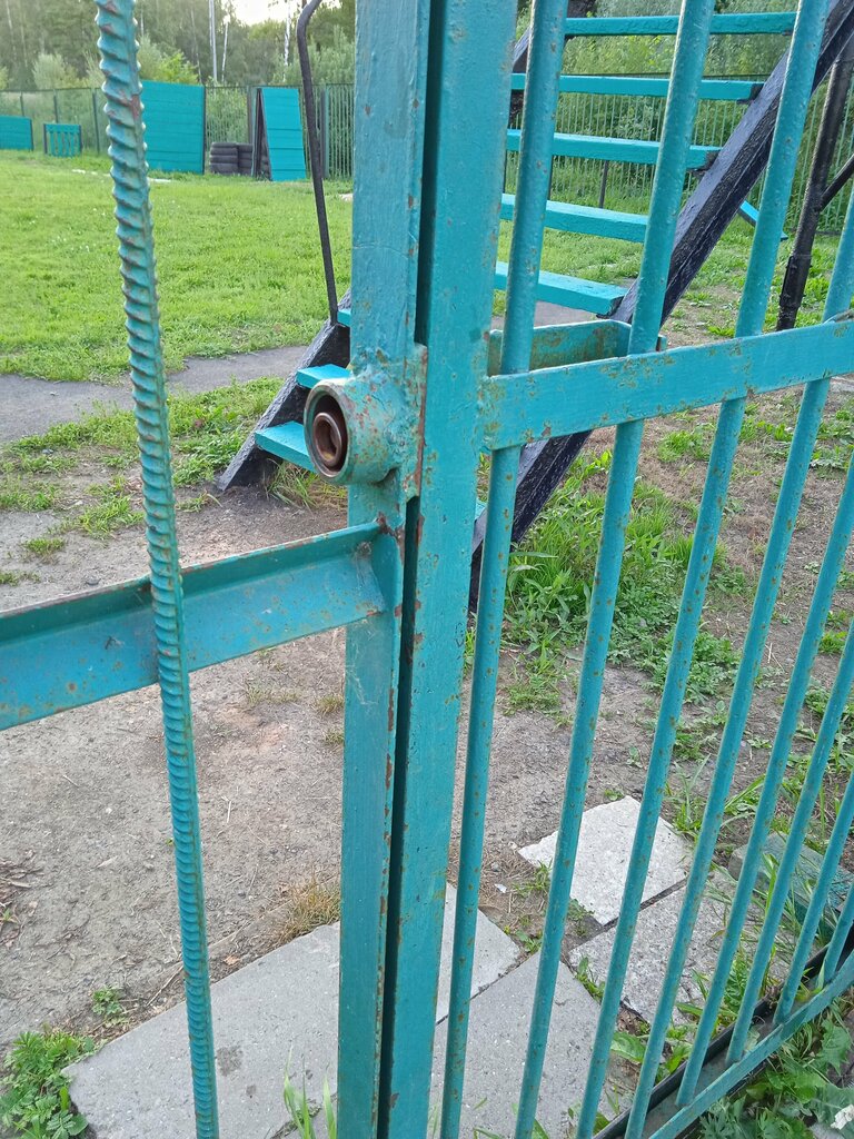 Köpek gezdirme alanları Dog park, Moskova ve Moskovskaya oblastı, foto