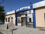 Zhasdauren (Ganı Iláev kóshesi No:14/1), kantin, yemekhane  Çimkent'ten (Şımkent'ten)