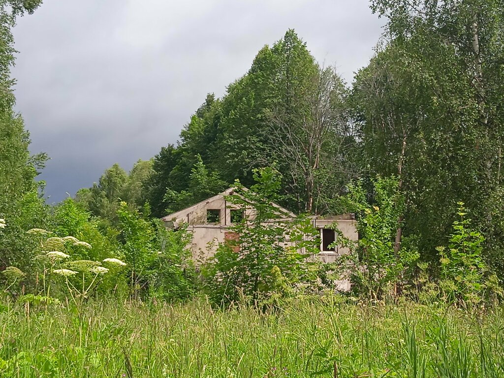 Turistik yerler Пионерский лагерь Рассвет, Moskova ve Moskovskaya oblastı, foto