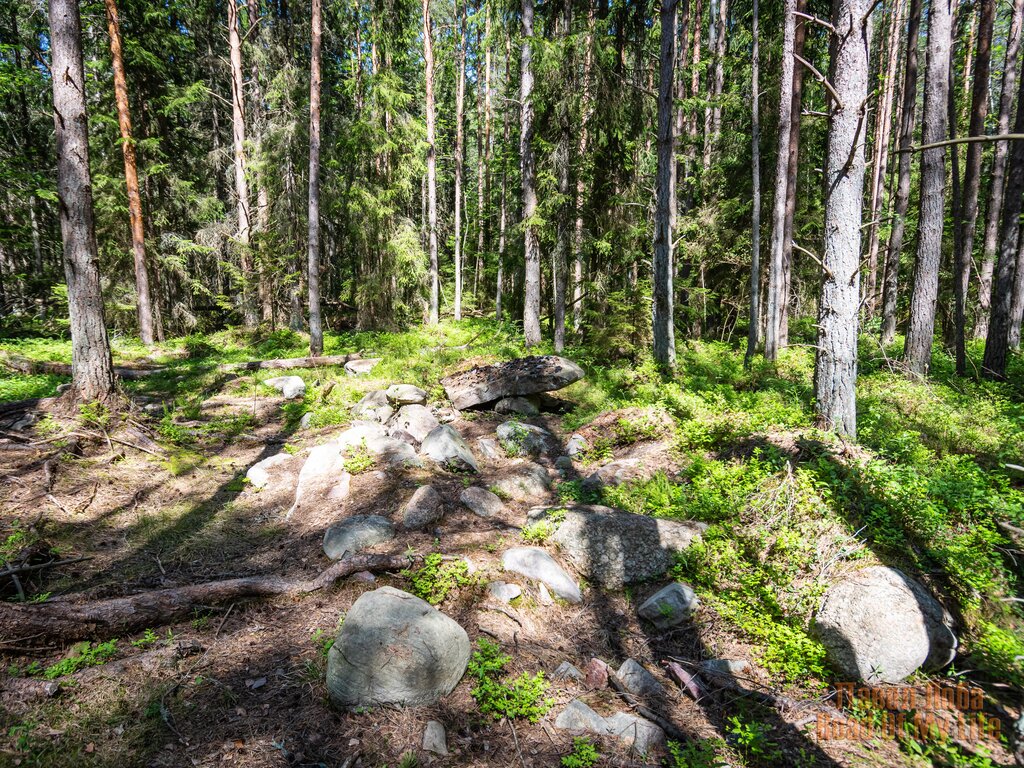Anıt, heykel Место гибели самолёта ПЕ-2, Saint‑Petersburg ve Leningradskaya oblastı, foto