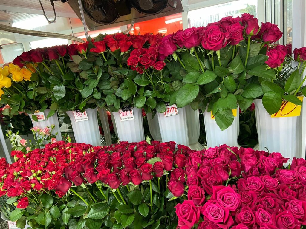 Çiçekçiler City flowers, Vladikavkaz, foto