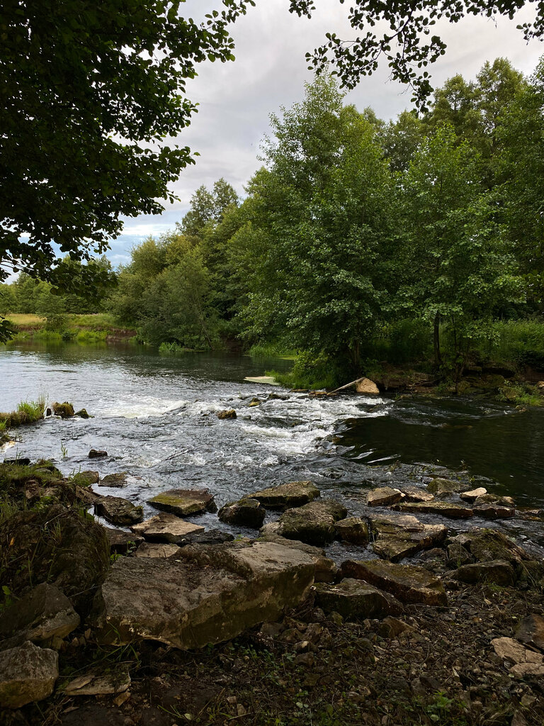 Piknik alanı Place for picnic, Vladimirskaya oblastı, foto
