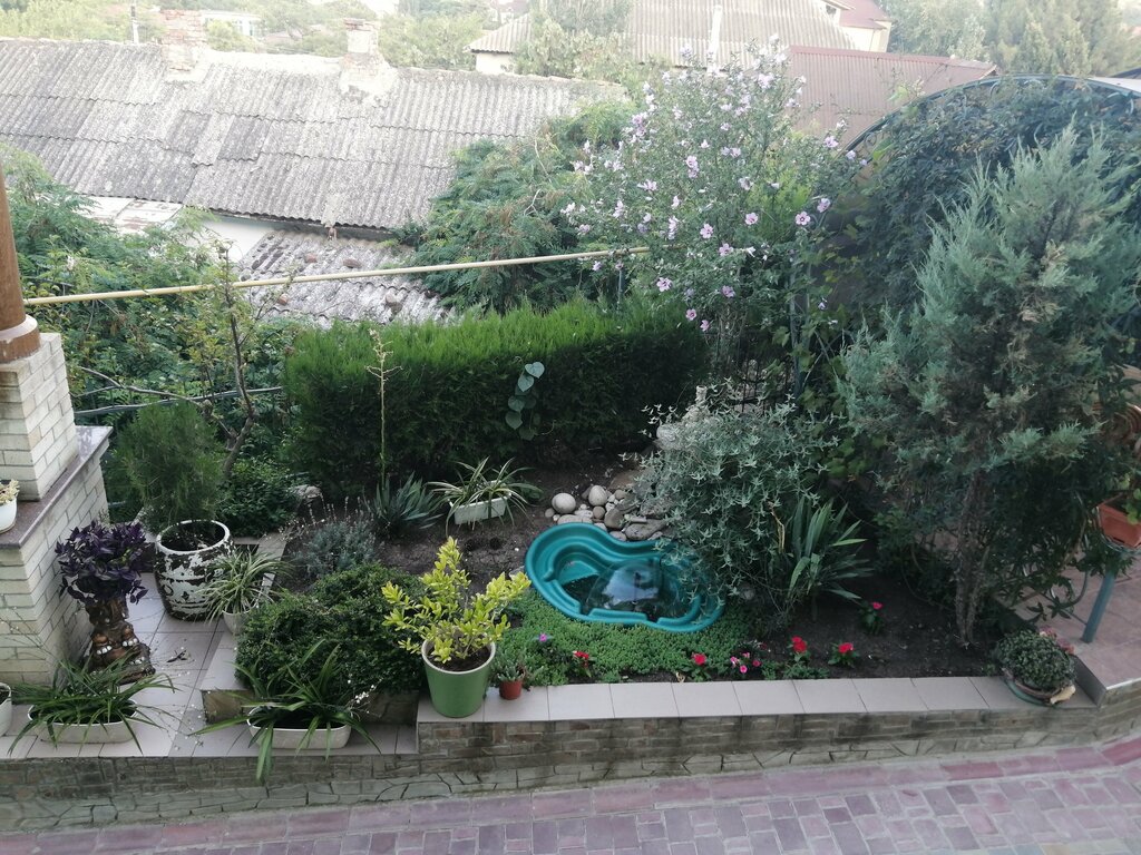 Otel Gostevoi dom Aleks, Kırım Cumhuriyeti, foto