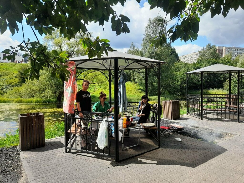Piknik alanı Место для пикника, Zelenograd, foto