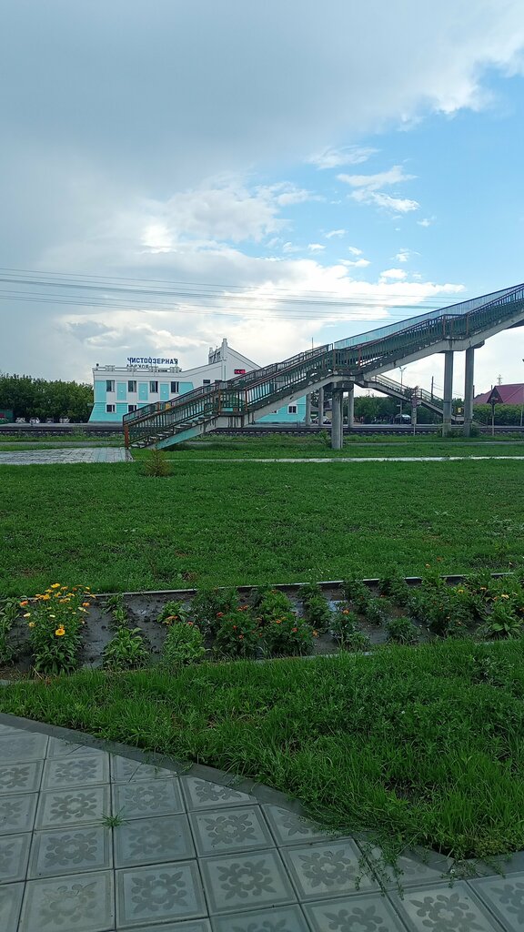 Tren istasyonu станция Чистоозёрная, Novosibirskaya oblastı, foto