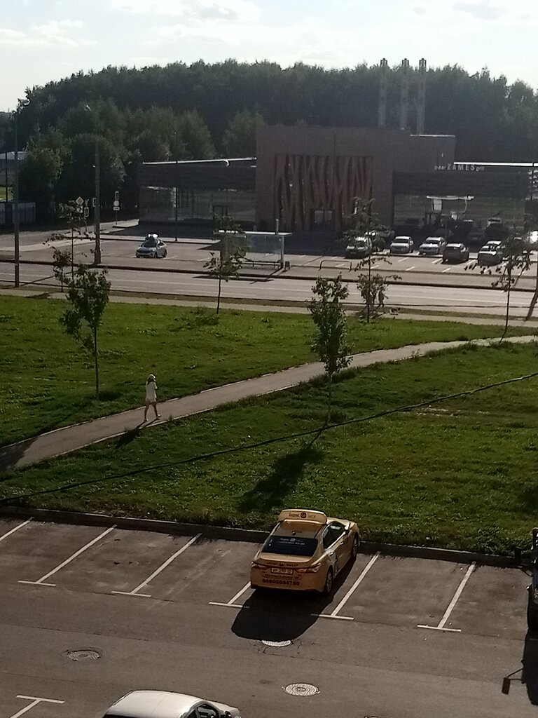 Toplu taşıma durağı 11th Microdistrict of Yuzhnoye Butovo, Moskova, foto