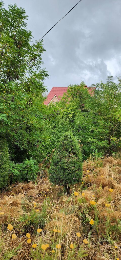 Emlak ofisi Accommodation for Rent, Taşkent eyaleti, foto