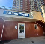 Butterfly (Kosmonavtov Street No:52), yüzme havuzları  Dmitrov'dan