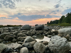 Тарховский (St. Petersburg, Sestroretsk, Tarkhovskiy zakaznik), doğa koruma alanı  Sestroretsk'ten