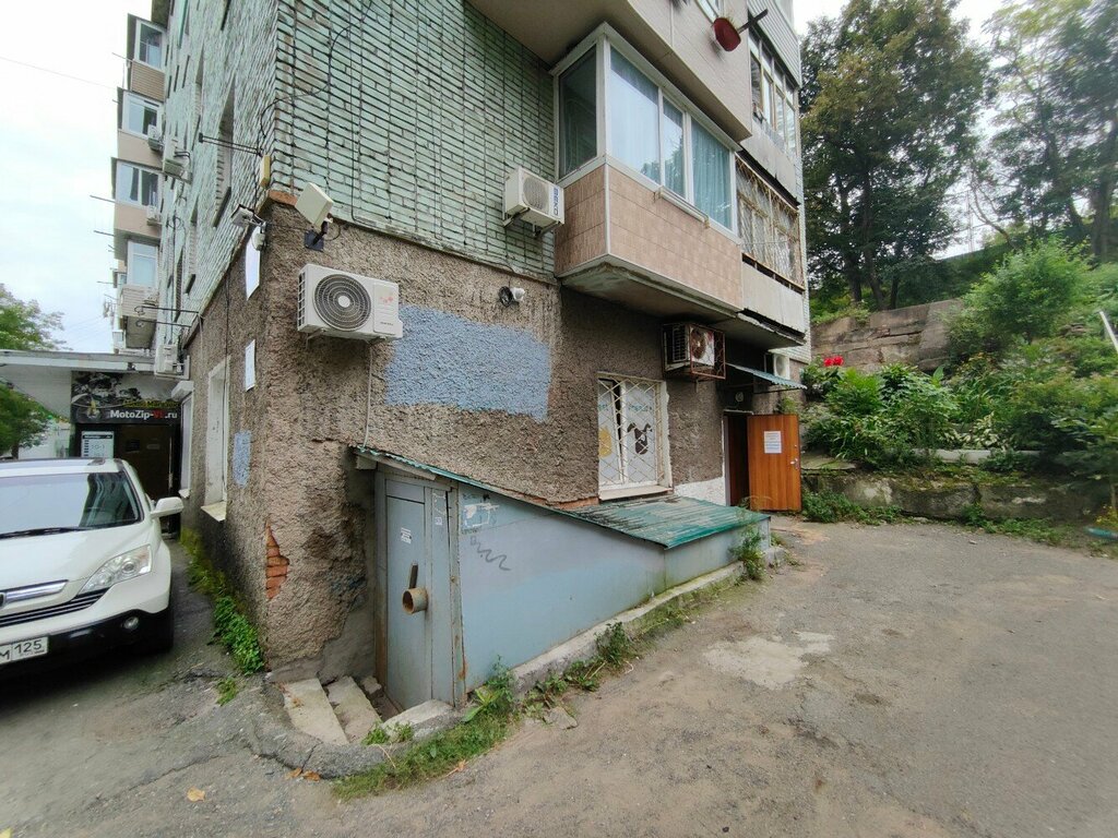 Evcil hayvan kuaförleri Best friends, Vladivostok, foto
