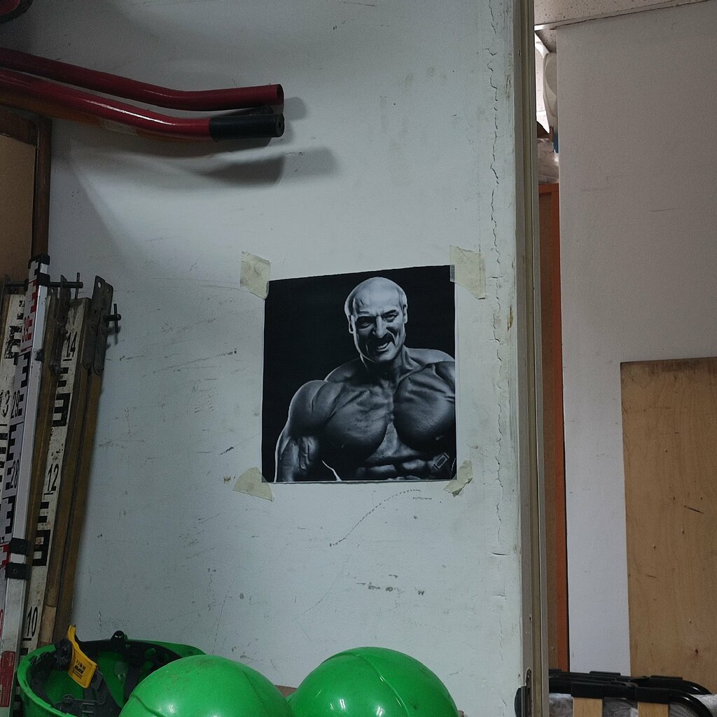 Sivil toplum kuruluşları Аист, Moskova, foto