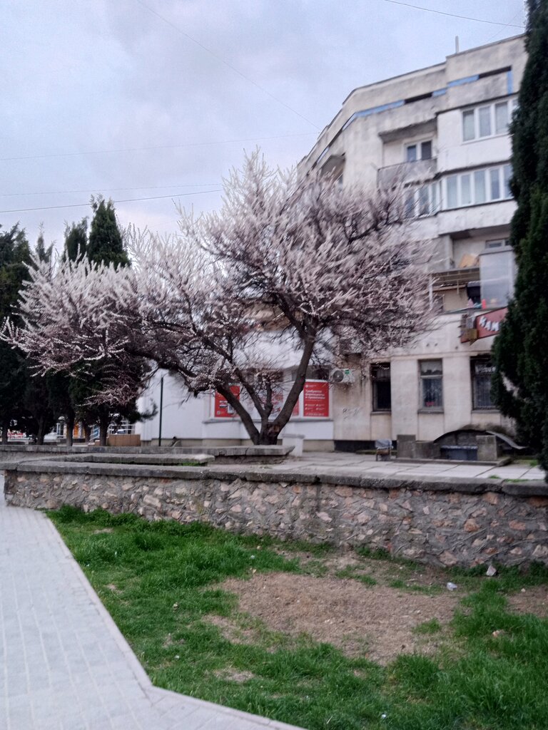 Kültür ve eğlence parkları сквер школы № 57, Sevastopol, foto