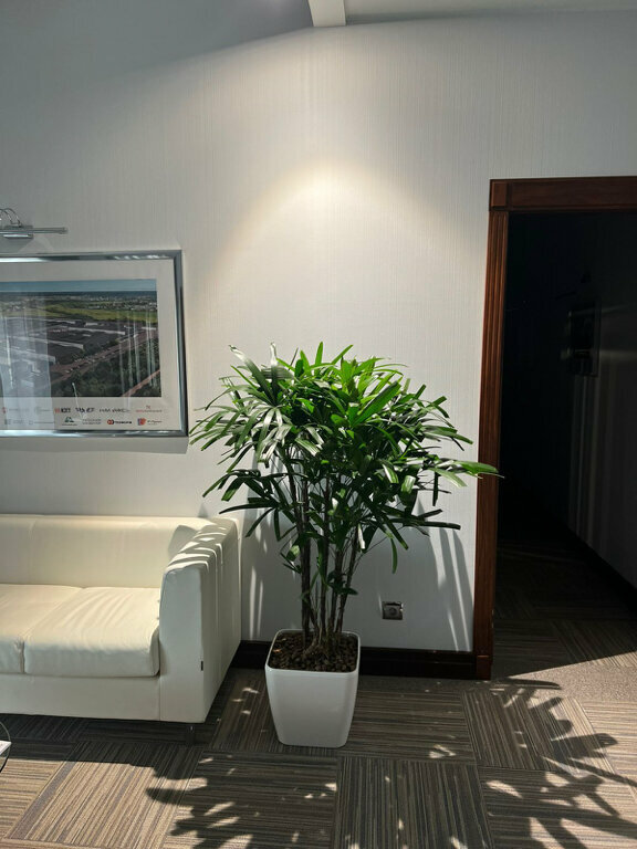 Yönetim ofisi GreenTrend.ru, Moskova, foto