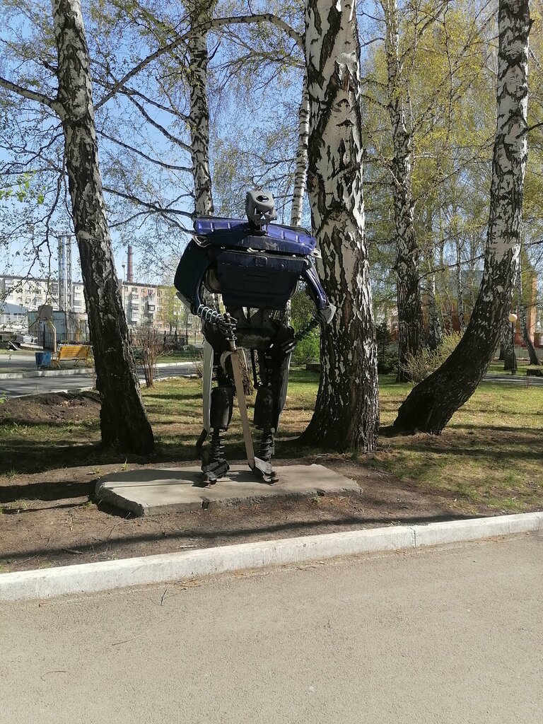 Kültür ve eğlence parkları Солнечный парк, Novosibirskaya oblastı, foto