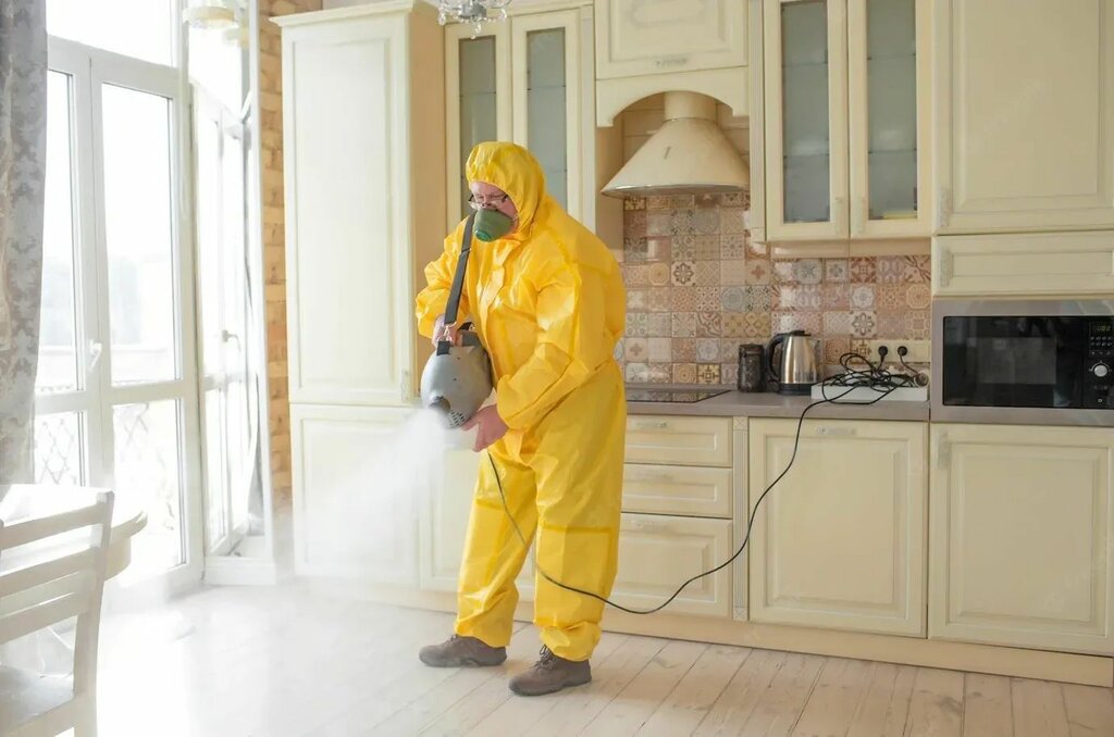 Haşere ilaçlama firmaları Alpha Arabian Cleaning Services, Dubai, foto