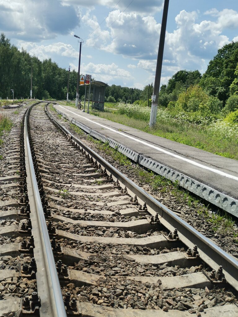 Tren istasyonu Danilovskoye Station, Tulskaya oblastı, foto