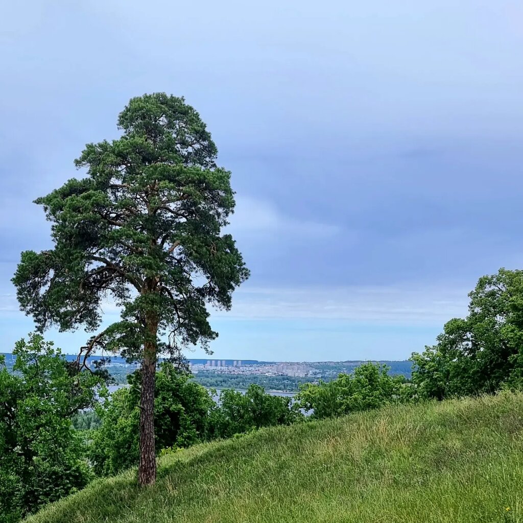Dağ zirvesi Aleksandrovskaya Mountain, Jiguliovsk, foto