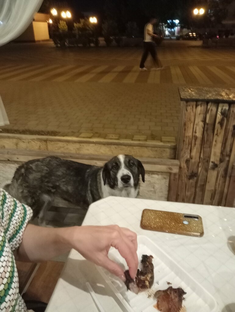 Bar Шашлычная в парке, Mineralniye Vodi, foto
