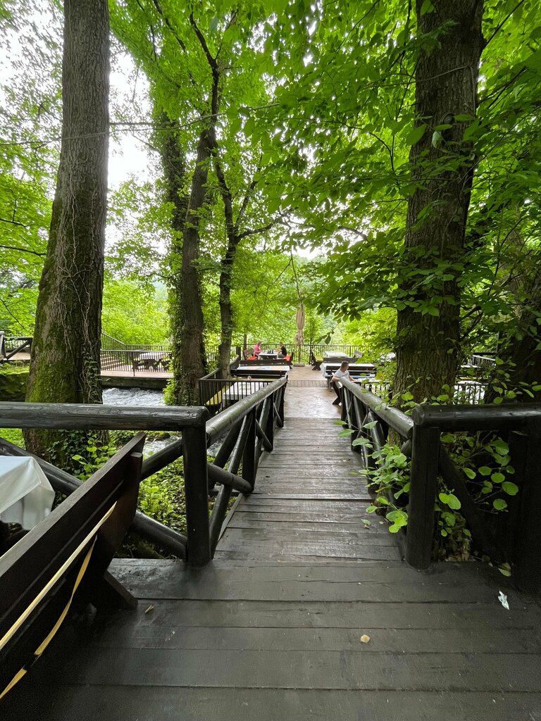 Restoran Restoran Vrelo Perucac, Dünya, foto