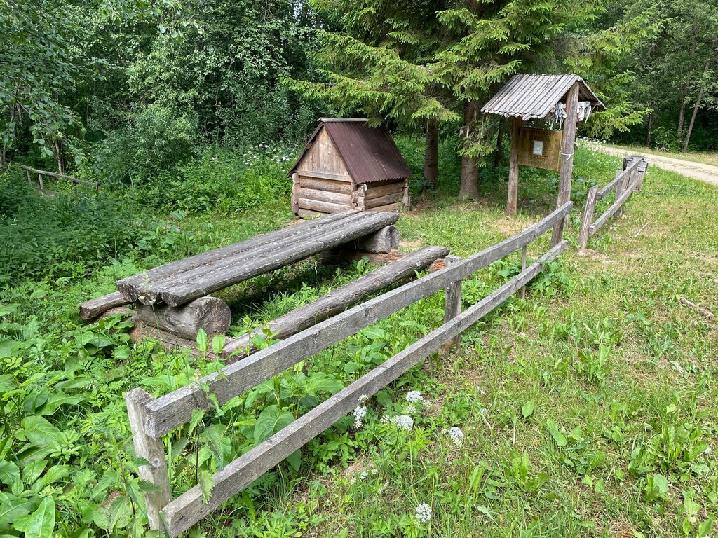 Kuyu Святой источник Параскевы Пятницы, Smolenskaya oblastı, foto